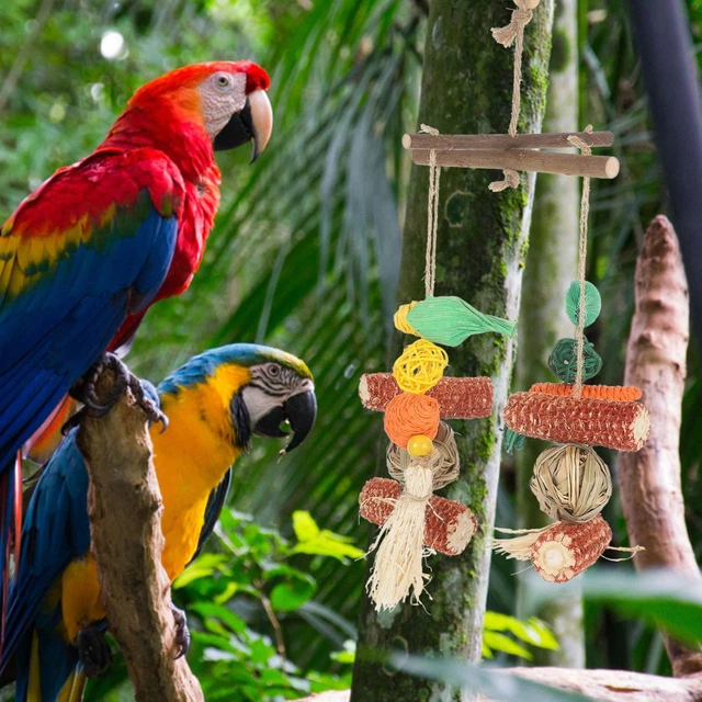 BUNNY CHEW TOY Rabbit Cage Accessory Small Animal Hanging Chew Toy ...