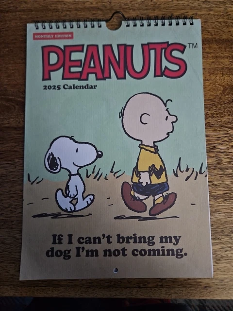PEANUTS SNOOPY MONTHLY Calendar 2025 Typo New £8.00 - PicClick UK