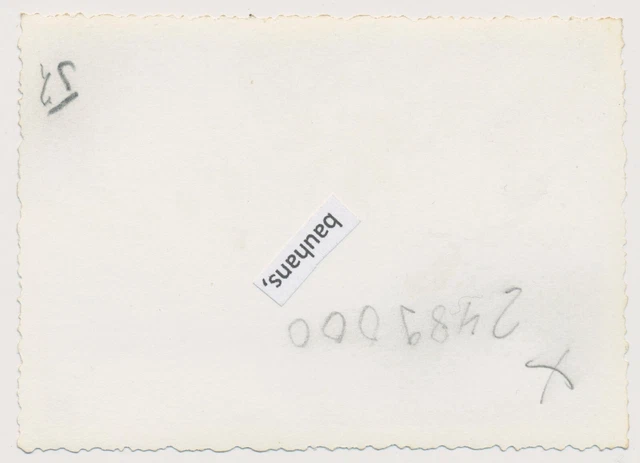 FOTO LEGION CONDOR S/88, aus Nachlass, Spanien, Flugzeug He 51 (1040a ...