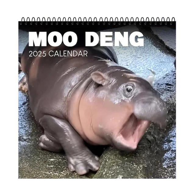 2025 MOO DENG Calendar, 2025 Moo Deng Pygmy Hippo Monthly Wall Calendar ...