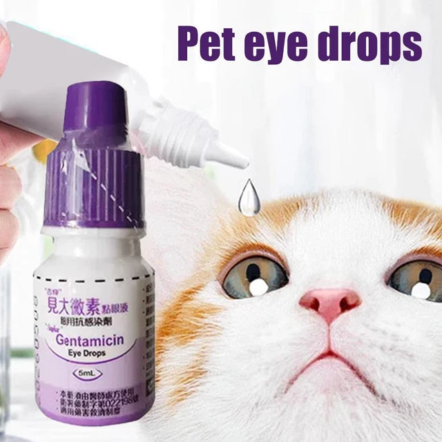GENTAMICIN EYE CARE Drops for Pets Tear Stains Cleaning Drops~ £3.62 ...