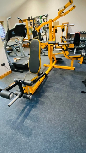 POWERTEC WORKBENCH MULTI System Leverage Gym (Used in full working ...