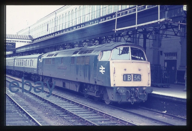 ORIGINAL 35MM SLIDE-CLASS 52 -D1051 'Western Ambassador' waits at ...