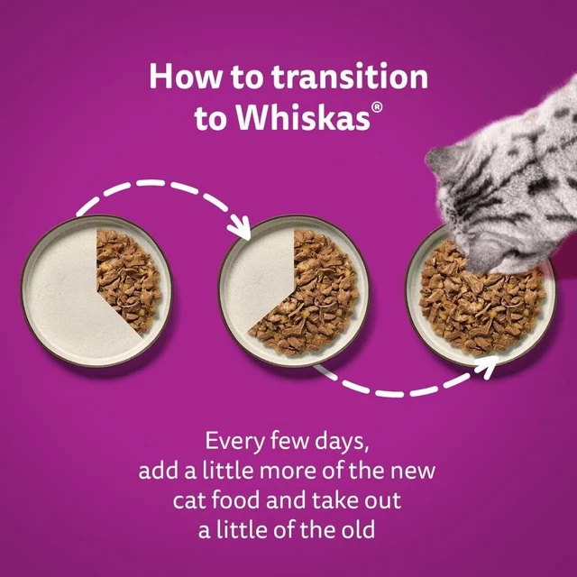 WHISKAS 1 PLUS Adult Mixed Selection in Jelly 84 Pouches, Adult Wet Cat ...