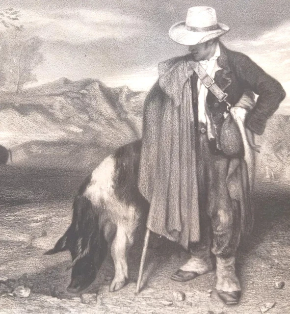 COCHON TRUFFIER PÉRIGORD Lithographie XIXe Soulange TESSIER Après ...