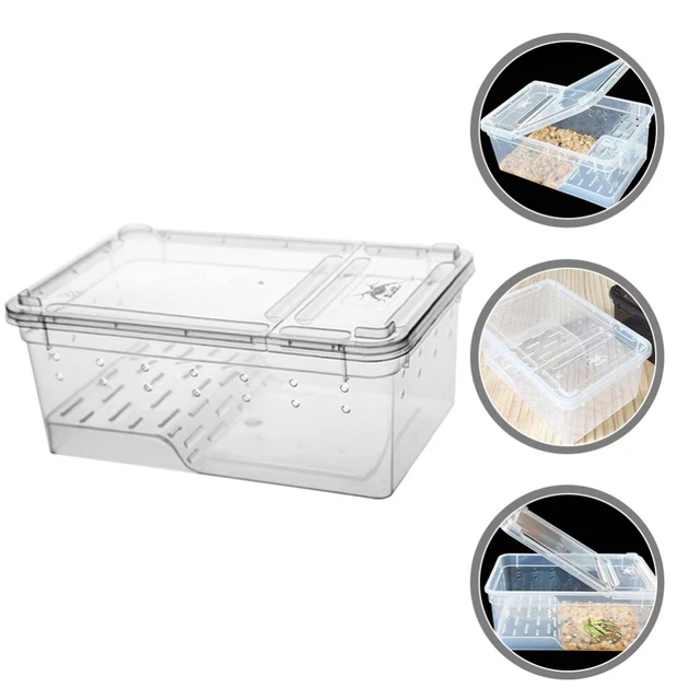 PLASTIC AMPHIBIAN FEEDING Box Jumping Spider Terrarium Snake Carrier £ ...