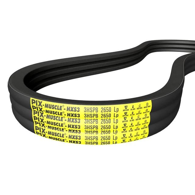 PIX MUSCLE®-HXS3 10-SPB 4000, Kraftband, Verbundkeilriemen EUR 1.492,06 ...
