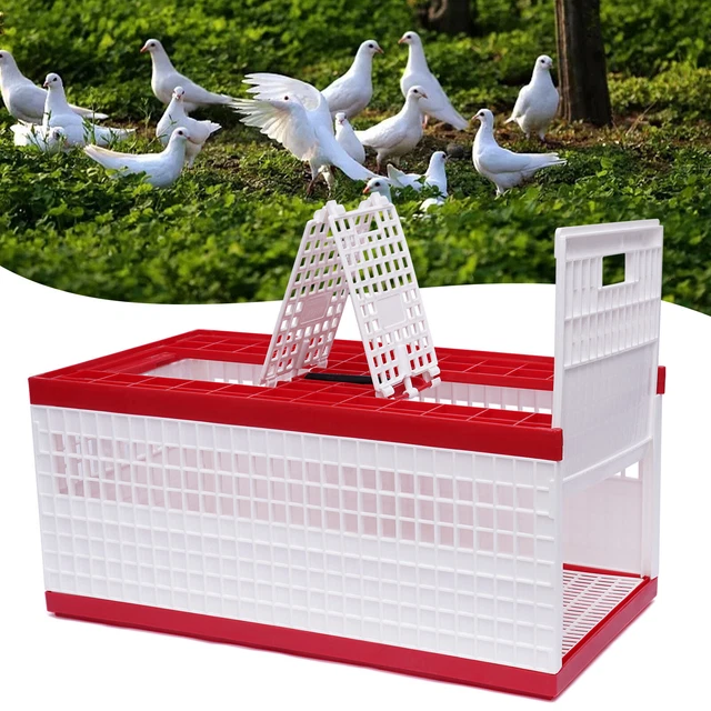 14 BIRDS PIGEON Training Basket Folding Collapsing Cage Nest Bird Box w ...