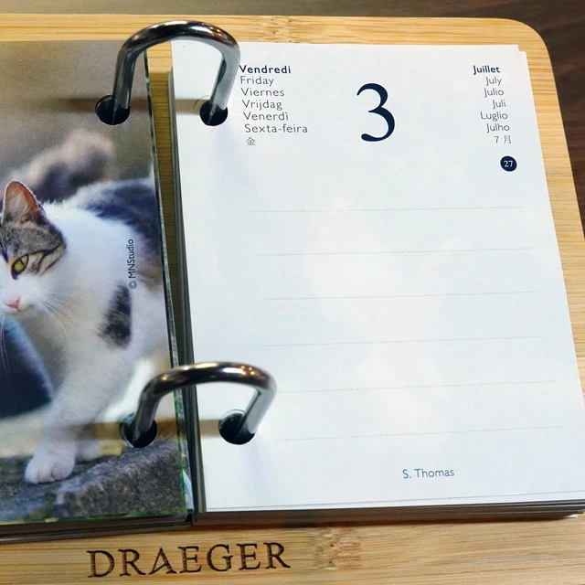 2026 CALENDAR DREJAR 365 Daily Cat Flip Type Box Set France $104.72 ...