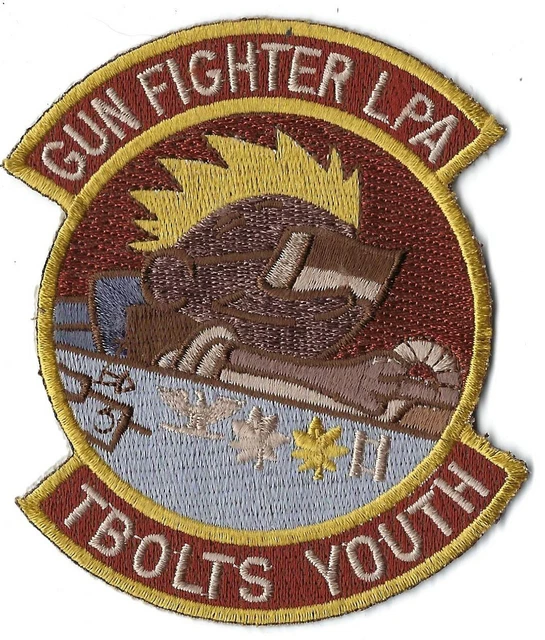 USAF 389TH FIGHTER SQUADRON GUN FIGHTER LPA TBOLTS YOUTH MILITARY PATCH ...