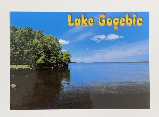 LAKE GOGEBIC LARGEST Lake in Michigans Upper Peninsula Postcard ...