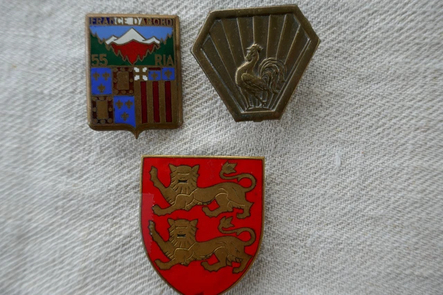 MILITARY INSIGNIA 55° RIA Alpine Infantry Regiment Italian ...