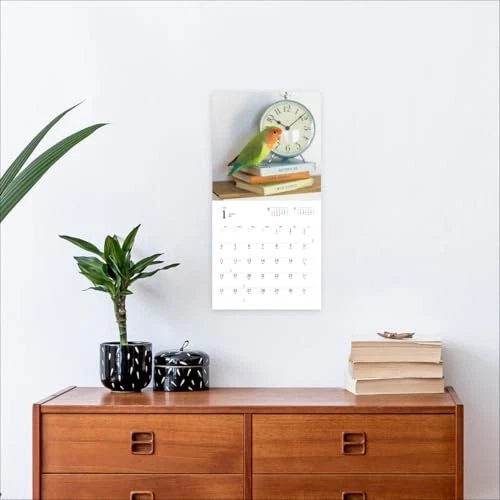 2026 CALENDAR: LOVEBIRD (Seibundo Shinkosha calendar) $73.48 - PicClick AU