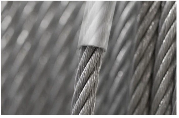 STEEL WIRE ROPE Metal Cable Rigging Clear PVC Coated 2mm 3mm 4mm 5 6mm ...