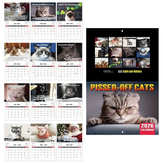 SQUARE PISSED-OFF CATS Calendar Cartoon Animal Wall Calendar Home ...