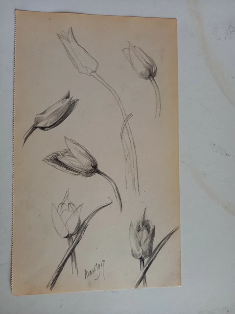 ANCIEN DESSIN AU crayon , croquis 43,bon état 15x24 cms, 1917 EUR 15,00 ...