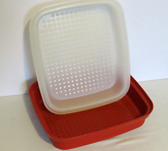 VINTAGE TUPPERWARE MARINADE Container Set Paprika and Sheer Color ...