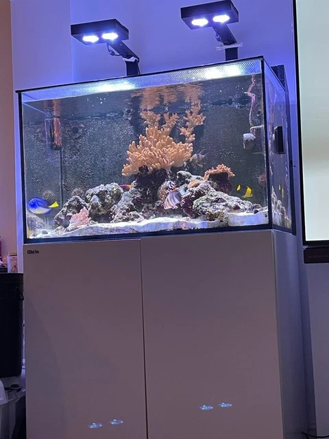 RED SEA REEFER 250 Tank + Sump + Cabinet £500.00 - PicClick UK