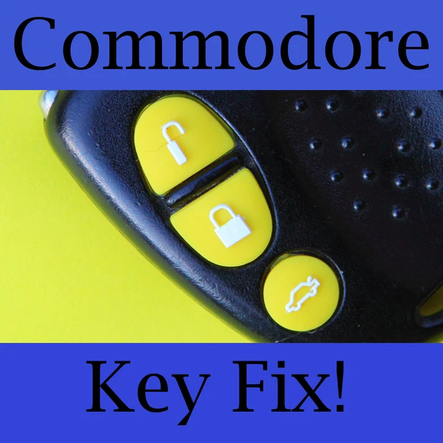 HOLDEN COMMODORE KEY Buttons VS VT VX VY VZ Yellow Set $4.20 - PicClick AU