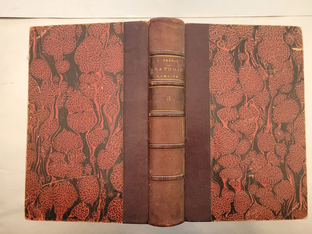 TRAITE D'ANATOMIE HUMAINE TESTUT 1899 T.III Système nerveux, organes ...