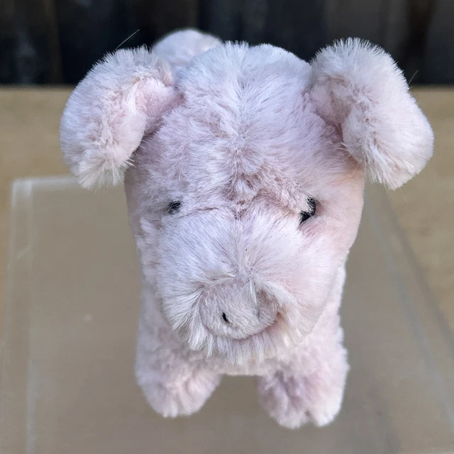 JELLYCAT I AM Diddle Pig 🐷 Tiny Soft Plush Pink Piglet. £27.89 ...