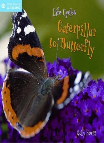 LIFE CYCLES: FROM Caterpillar to Butterfly (Start Talking) By S ...