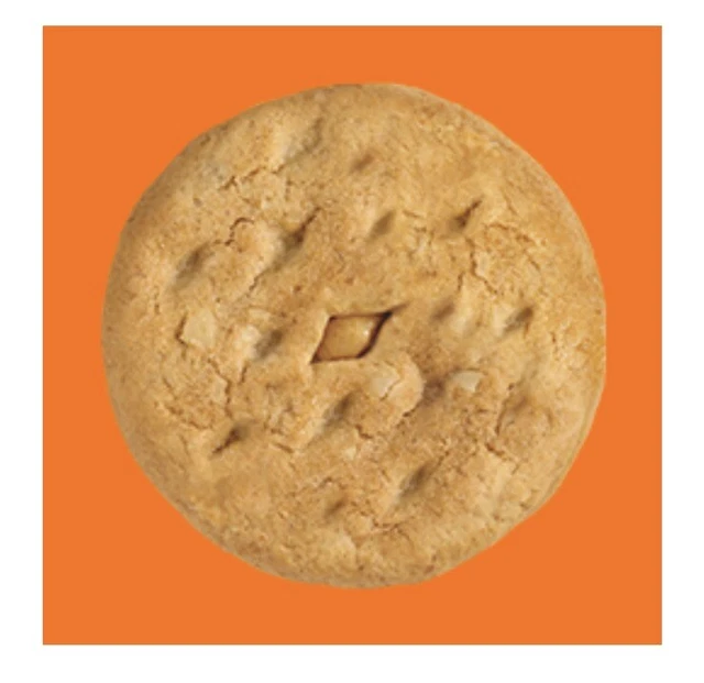 GIRL SCOUT COOKIES Do-si-dos- 10 Boxes 2025 Cookies On Hand Do-si-do £ ...