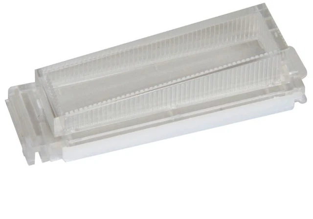 TASTO PORTANOME TRASPARENTE Per Targa Pulsantiera Citofonica 2100 Elvox ...