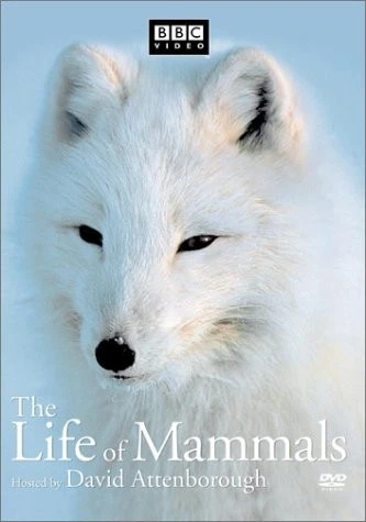 LIFE OF MAMMALS 2 [DVD] [2002] [Region 1] [US Import] [NTSC] £14.38 ...