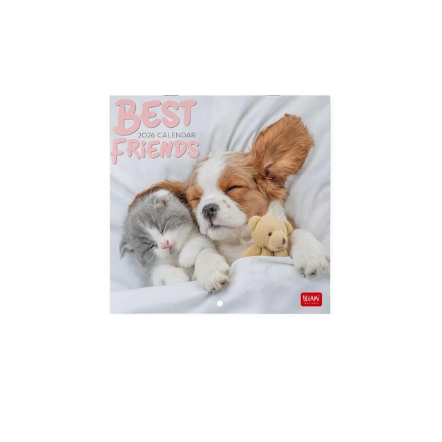 2026 WALL Calendar, Best Friends, Small Wall Calendar, 12 Months and ...