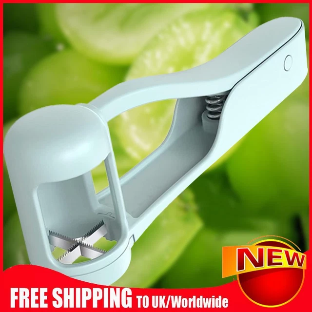 SMALL SEEDLESS FRUIT Slicer Fruit Slicer Stainless Steel Blade for ...