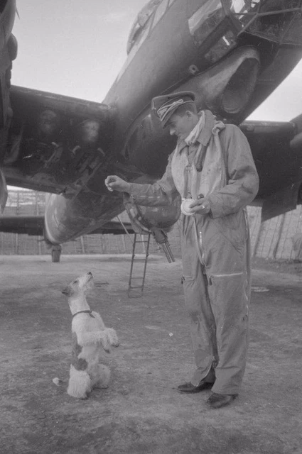 WW2 WWII PHOTO German Luftwaffe Pilot with Dog World War Two Germany ...