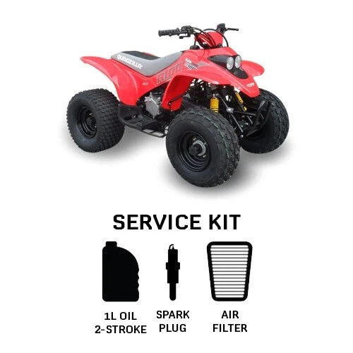 GENUINE QUADZILLA R100 Service Kit SMC RAM 100 OEM £23.00 - PicClick UK