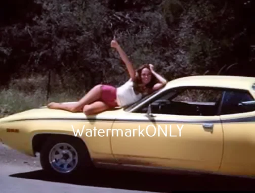 Gorgeous Actress Andcatherine Bach Daisy Duke Pin Up Busty Photo