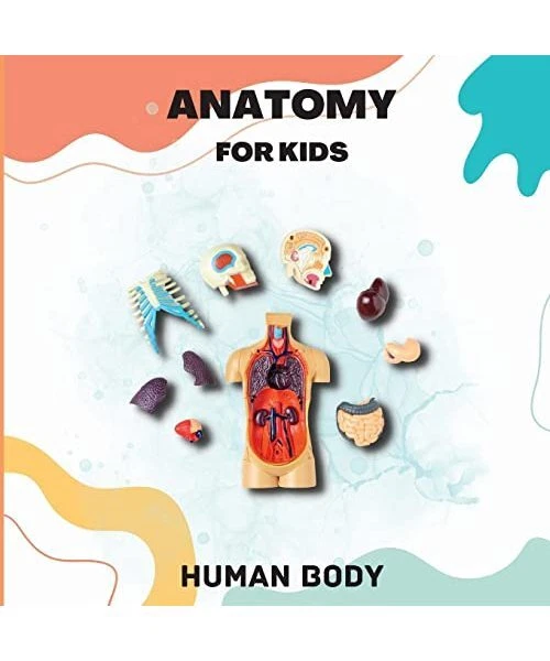 HUMAN BODY ANATOMY for Kids: An Introduction to the Human Body for Kids ...