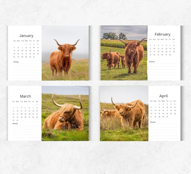 HIGHLAND COW DESK Calendar 2026-2027: Standing Flip Desktop Calendar ...