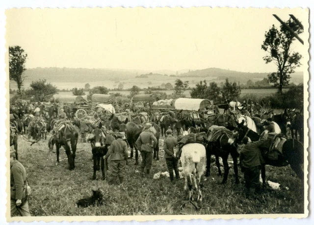 2# 29. INFDIV Nord Frankreich Panzer Gr. G ~ Sammelstelle Maas Stellung ...