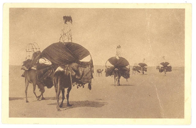 CPA ALGERIE - Scènes et types d'Algérie - 1016. Caravane au désert EUR ...