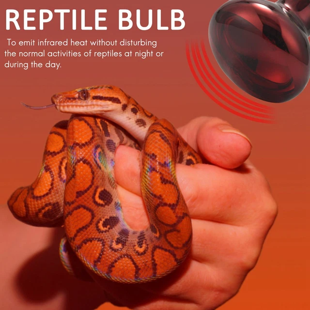 100W 2 PACK Infrared Heat Lamp Bulb Red Light Heat Bulbs for Pet ...