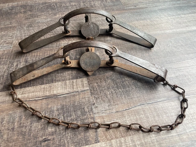 #3 AND #4 Newhouse trap set with STAMPED springs UNCLEANED $20.49 ...