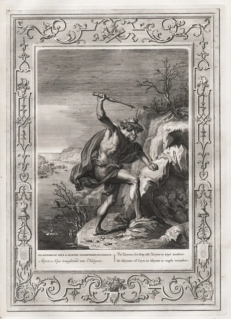 ALCYONE CEYX BIRDS Greek mythology Mythologie Kupferstich engraving ...