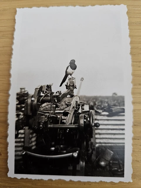 WW2 GERMAN ORIGINAL Photo Wehrmacht 2cm Artillery Gun With Magpie £5.00 ...