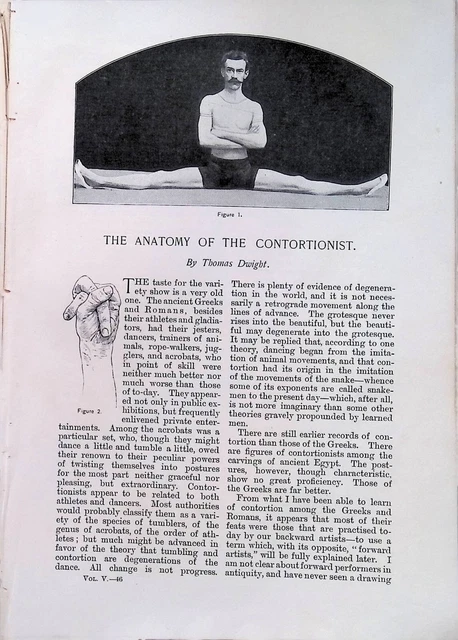 &THE ANATOMY OF The Contortionist" Great Illustrations Scribner's 1889 ...