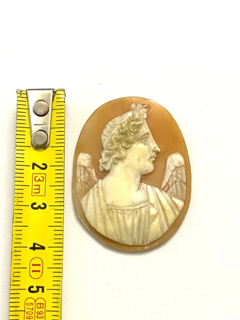ANCIEN ET GRAND élément de collier broche Camée coquille Homme ailé ...