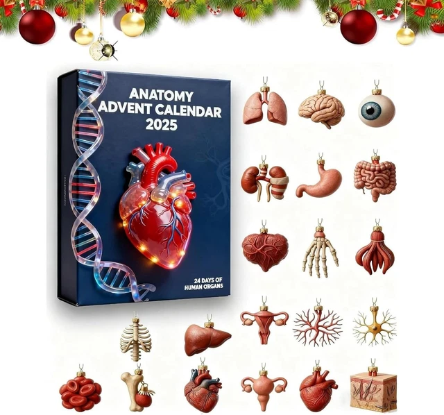 2025 SCIENCE ANATOMY Advent Calendar with 24 Days of Human Body ...