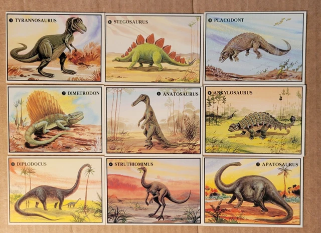 VINTAGE 1987 DINO Card Company Dinosaurs Set 20 cards W/ Plastic Case ...