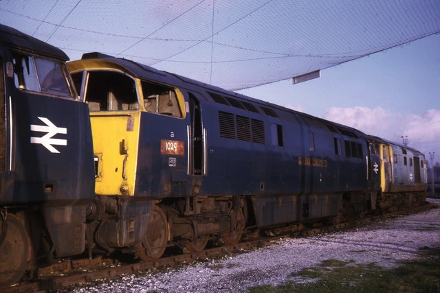 6X4 INCH PHOTO of Class 52 diesel Hydraulic locomotive number D1029 at ...