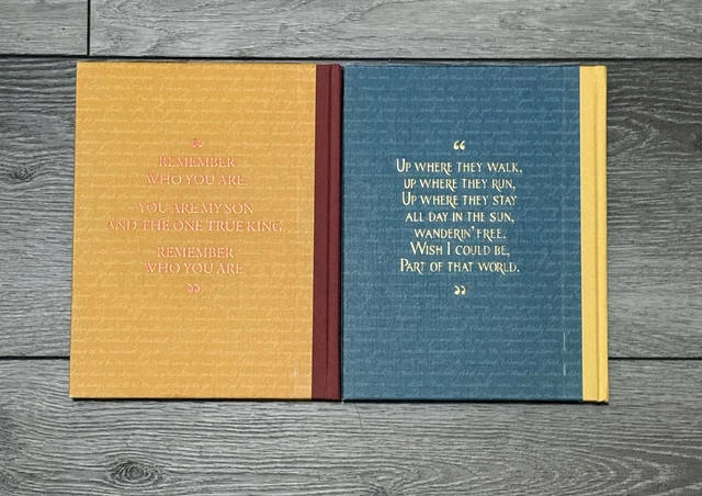 DISNEY THE LITTLE Mermaid & Lion King Full Film Script Hardcover Books ...