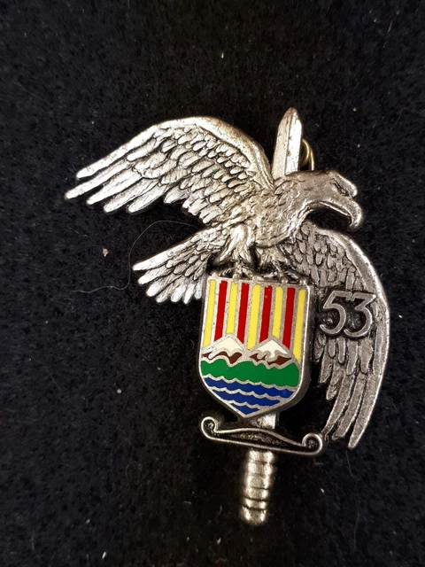 INSIGNE 53° RI Régiment D'infanterie EUR 3,00 - PicClick FR