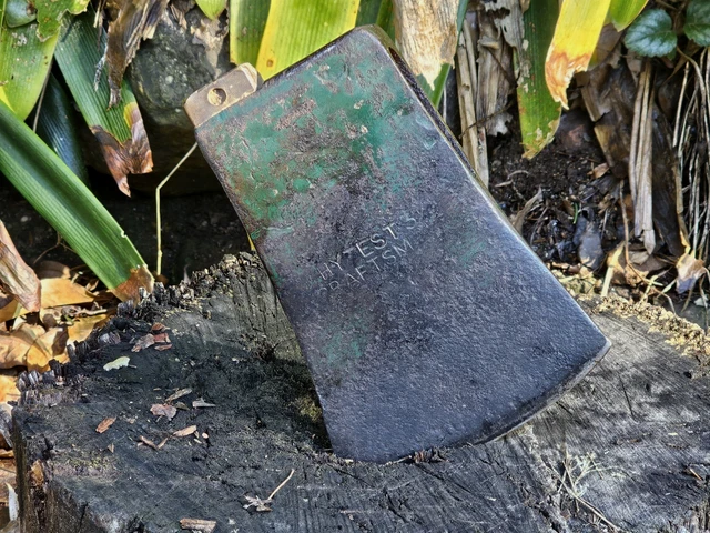 HYTEST CRAFTSMAN - 3 1/2lb Poisoning Axe - Tasmanian Pattern $140.00 ...